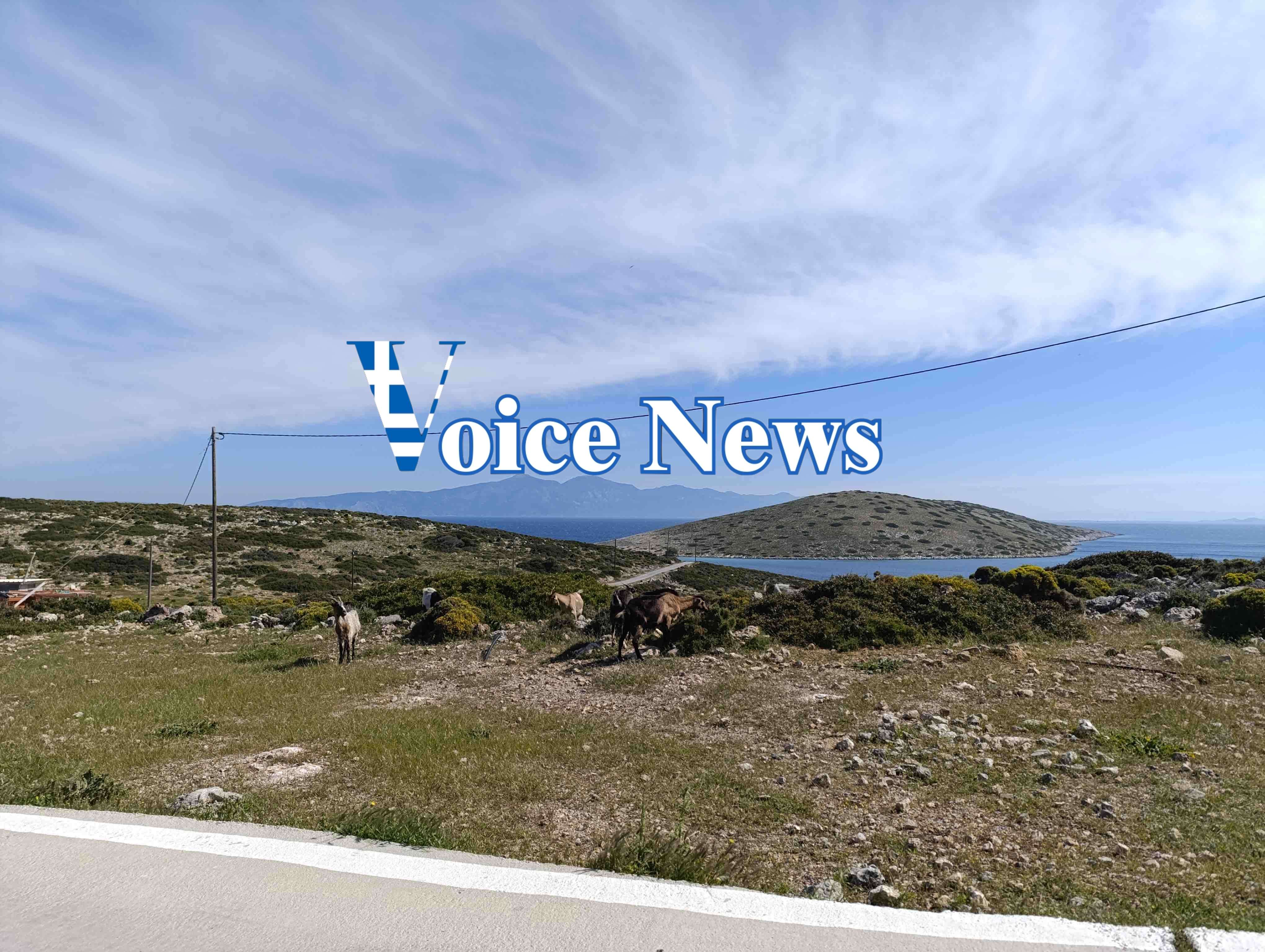 ΕΙΚΟΝΕΣ ΕΓΚΑΤΑΛΕΙΨΗΣ: Παρατημένα τα αμνοερίφια του Αγαθονησίου - Πού ...