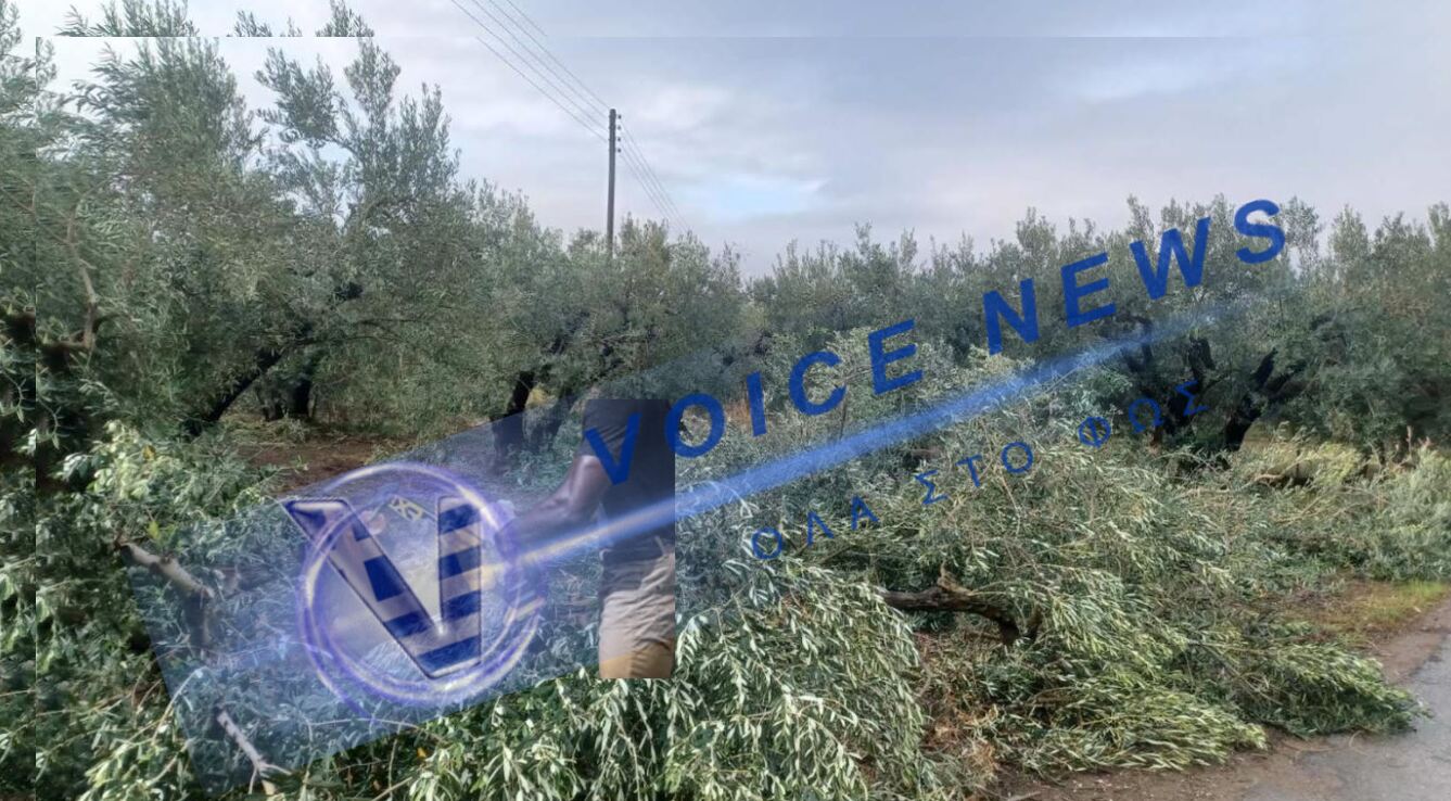 ΤΡΟΜΟΣ ΓΙΑ ΟΙΚΟΓΕΝΕΙΑ!!-ΑΓΝΩΣΤΟΙ ΕΙΣΒΑΛΛΟΥΝ ΣΤΑ ΚΤΗΜΑΤΑ ΚΑΙ ...