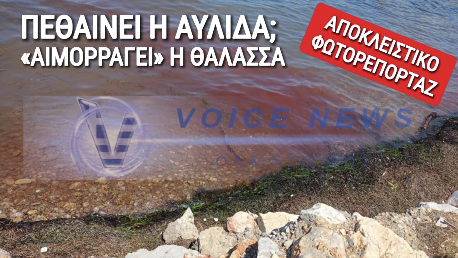 (ΑΠΟΚΛΕΙΣΤΙΚΕΣ ΦΩΤΟ) «ΜΑΤΩΜΕΝΗ» ΘΑΛΑΣΣΑ ΣΤΗΝ ΑΥΛΙΔΑ! ΠΕΡΙΒΑΛΛΟΝΤΙΚΗ ...