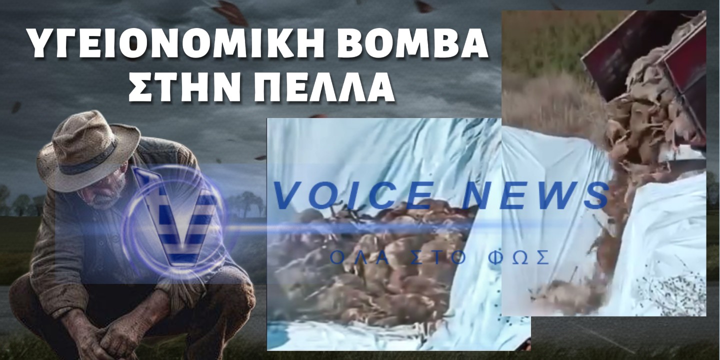 ΣΚΛΗΡΕΣ ΕΙΚΟΝΕΣ! ΘΑΒΟΥΝ ΔΙΠΛΑ ΣΕ ΔΡΟΜΟ ΝΕΚΡΑ ΠΡΟΒΑΤΑ ΧΩΡΙΣ ΚΑΝΕΝΑ ΜΕΤΡΟ ...
