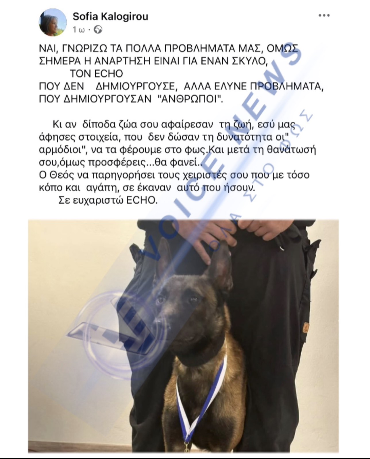 ΣΥΓΚΛΟΝΙΖΕΙ Η ΜΗΤΕΡΑ ΤΟΥ ΔΟΛΟΦΟΝΗΜΕΝΟΥ ΚΑΛΟΓΗΡΟΥ ΜΕ ΤΟ ΜΗΝΥΜΑ ΤΗΣ ΓΙΑ ...