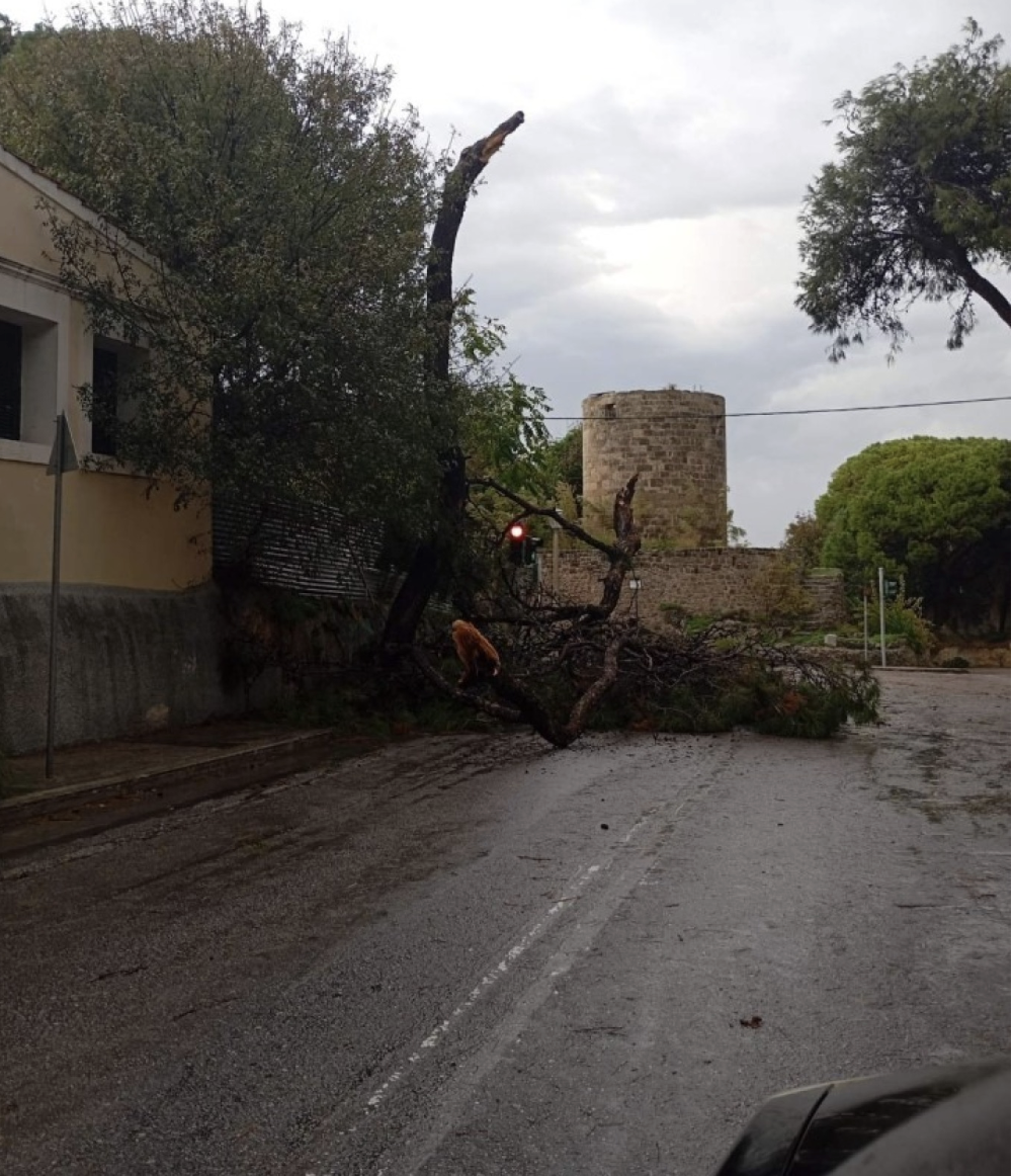 ΓΥΜΝΗ ΞΑΝΑ Η ΕΛΛΑΔΑ… ΣΤΟ ΕΛΕΟΣ ΤΗΣ ΚΑΚΟΚΑΙΡΙΑΣ! ΑΠΟ ΤΥΧΗ ΔΕΝ ΘΡΗΝΟΥΜΕ ...