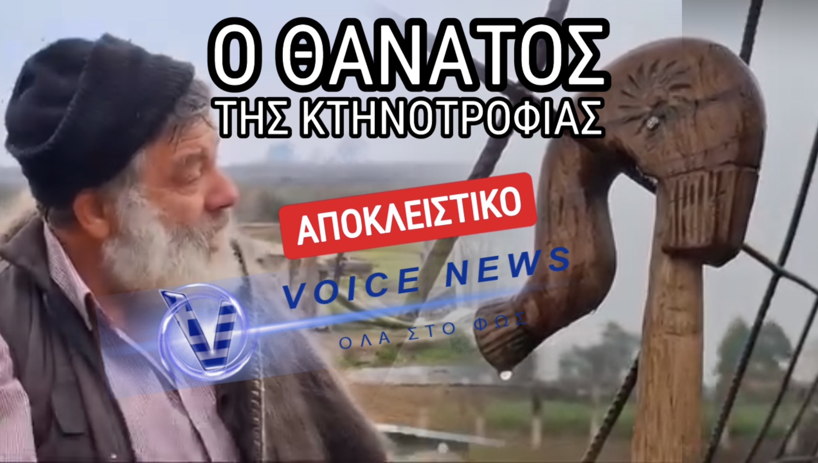 ΑΠΟΚΛΕΙΣΤΙΚΟ! ΡΑΓΙΖΕΙ ΚΑΡΔΙΕΣ ΟΙΚΟΓΕΝΕΙΑ ΚΤΗΝΟΤΡΟΦΩΝ! ΜΕ ΔΑΚΡΥΑ ΣΤΑ ...