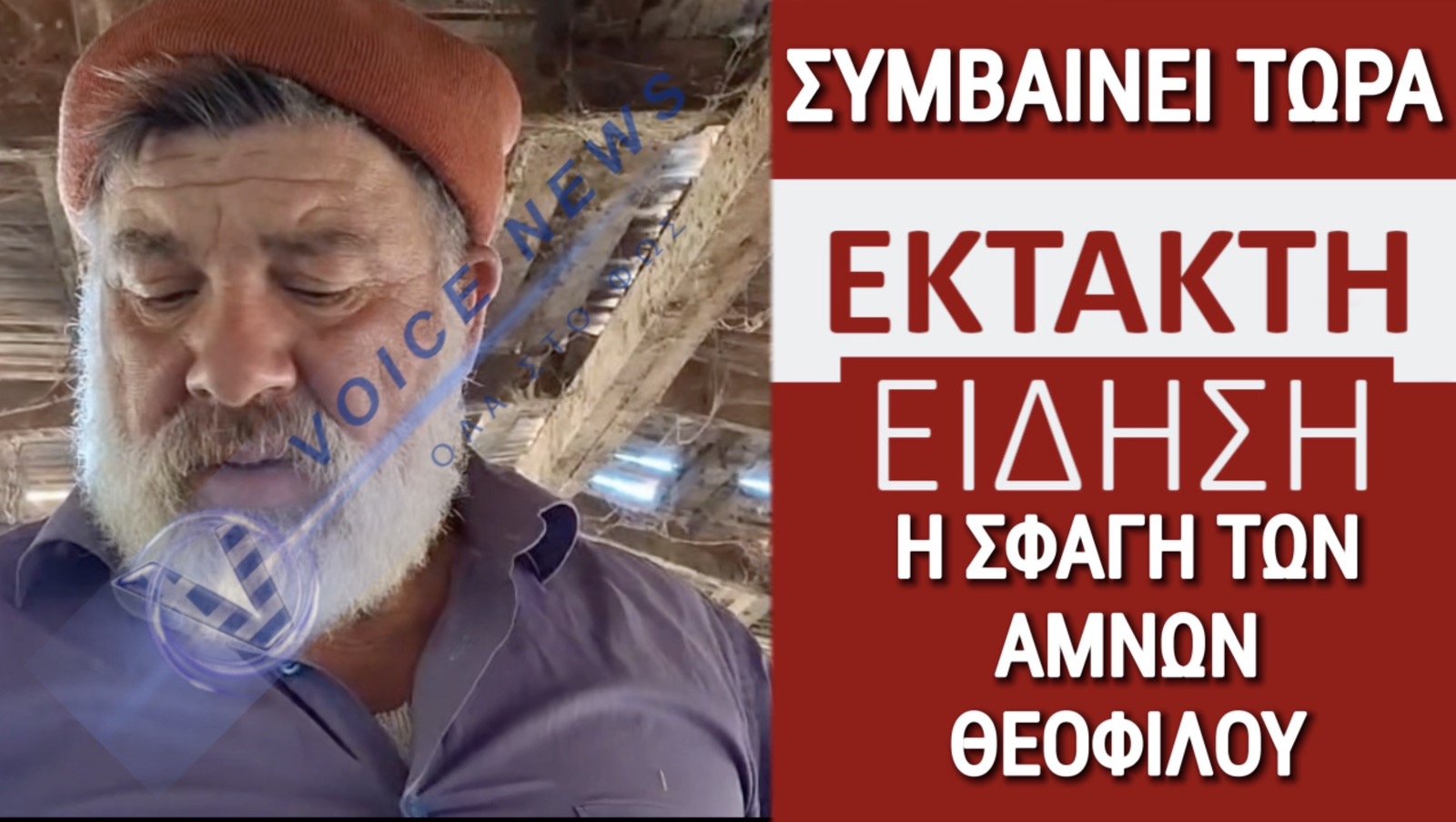 ΤΩΡΑ ΣΦΑΖΟΥΝ ΤΑ ΖΩΑ! ΤΑΦΟΠΛΑΚΑ ΣΤΟ ΜΑΝΤΡΙ ΤΟΥ ΤΣΟΠΑΝΗ ΑΠΟ ΤΟ ΜΙΚΡΟ ...