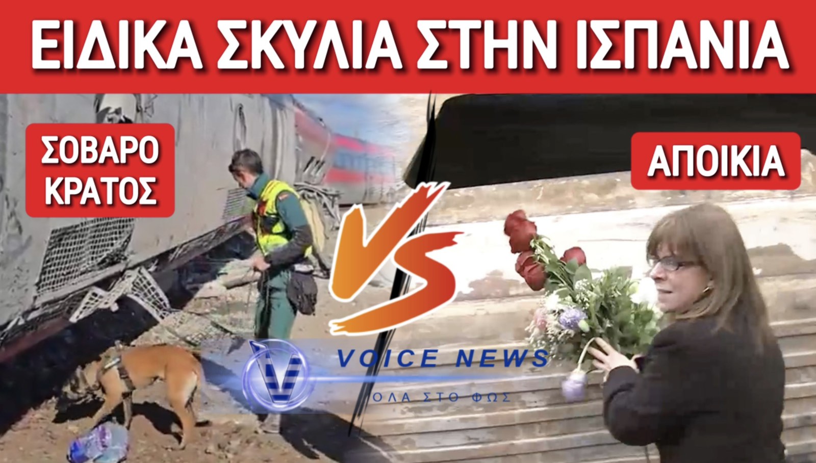 Home - Voice News